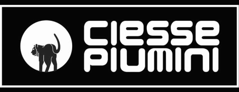 Piumini uomo, donna e junior: vendita online | Ciesse Piumini